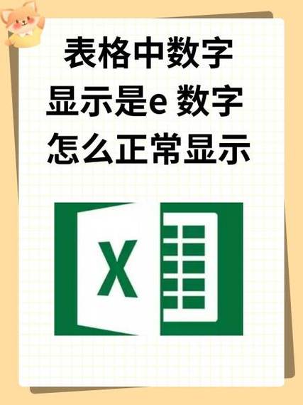 数字里面的e是什么意思图标
