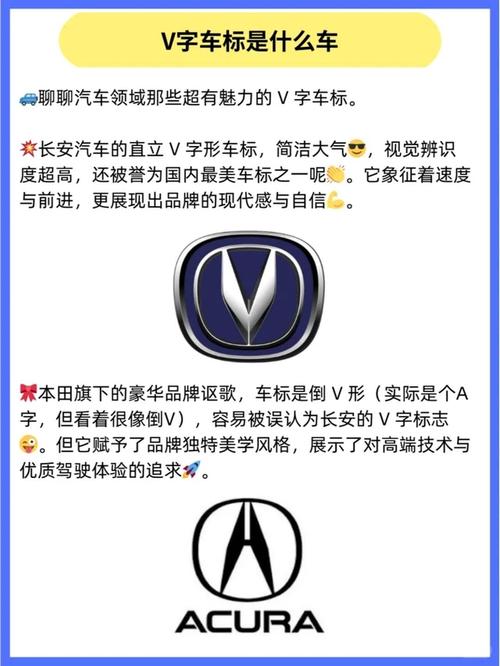 v标志的衣服品牌图标
