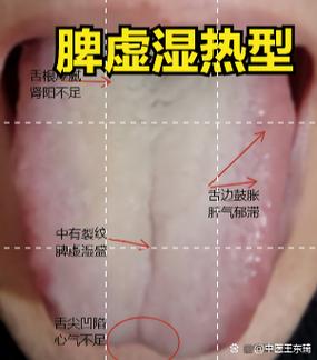 山草去湿油说明书