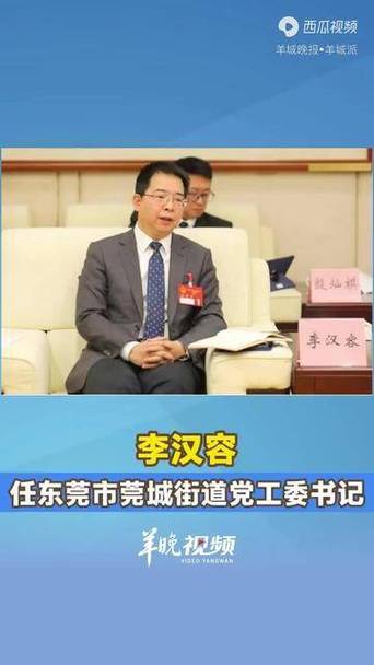 街道一把手是党工委书记吗图标
