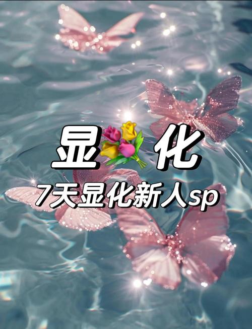 sp实践7天回锅打法sp实践7天回锅打法1图标