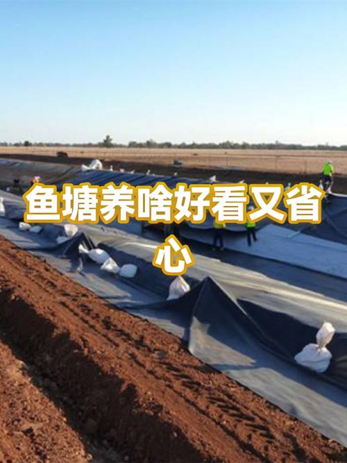 鱼塘怎么赚钱图标