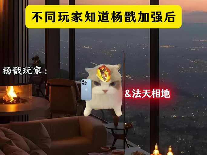 开猫猫是什么意思图标