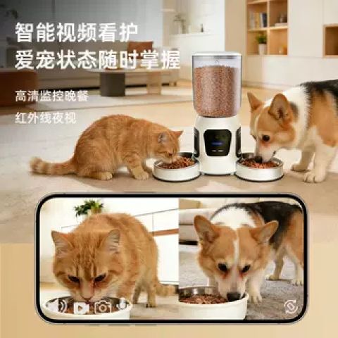 换猫后摄像头连不上网了图标