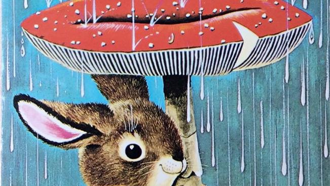 bunny特殊含义图标
