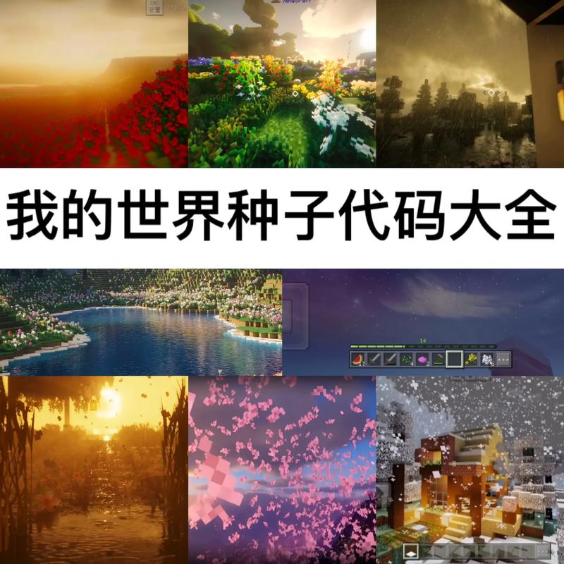我的世界,种子代码图标