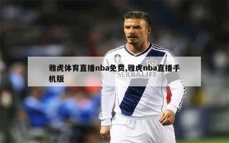 雅虎体育nba官网下载