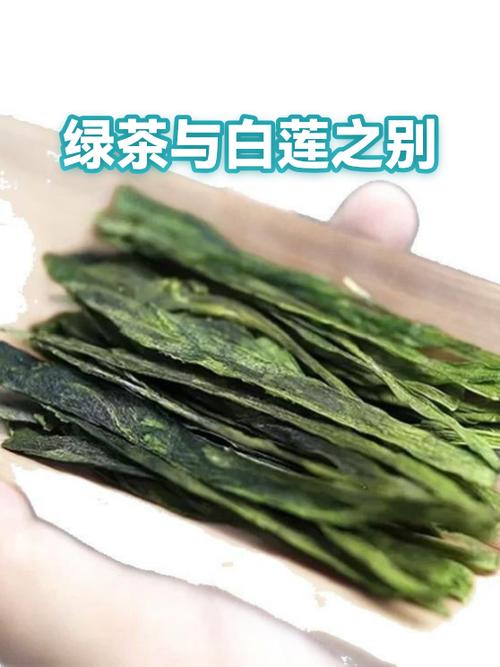 绿茶和白莲花的区别图标