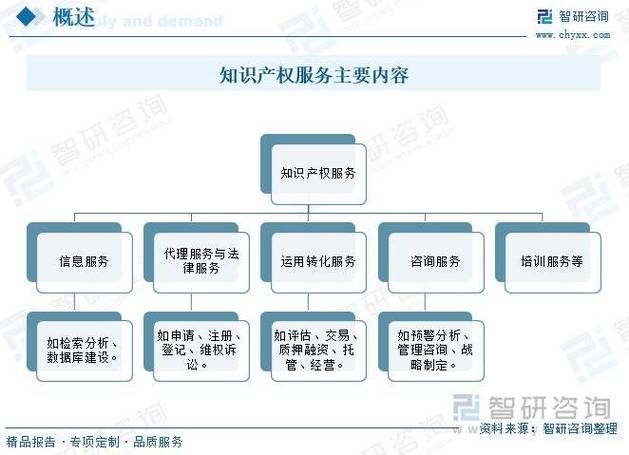 知识产权公司是干什么的图标