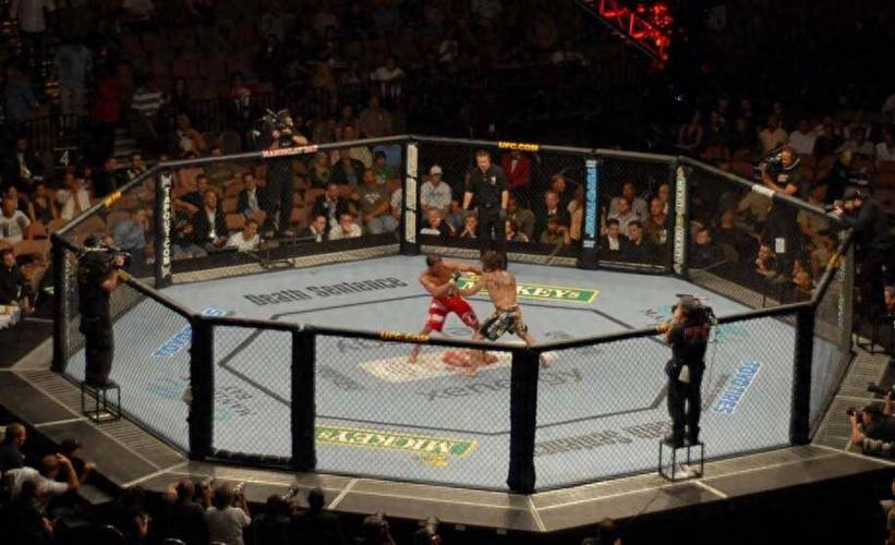 ufc综合格斗游戏图标