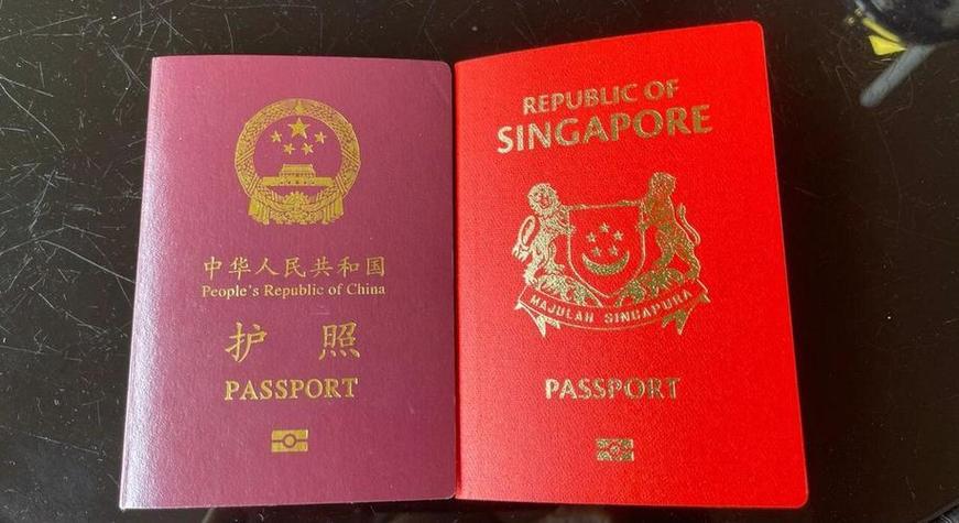 新加坡国籍加入条件图标