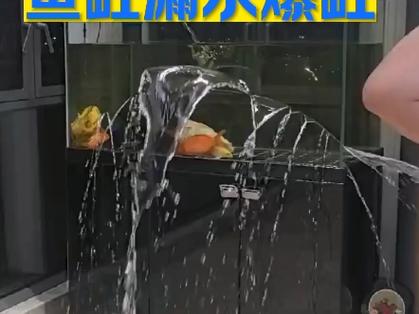 家里鱼缸突然爆裂是什么征兆图标