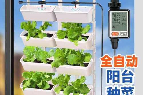 森林盒子最新版图标