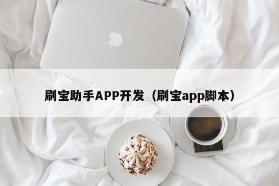刷宝提现限制破解图标