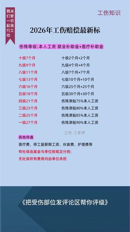 骑手保险赔偿标准图标
