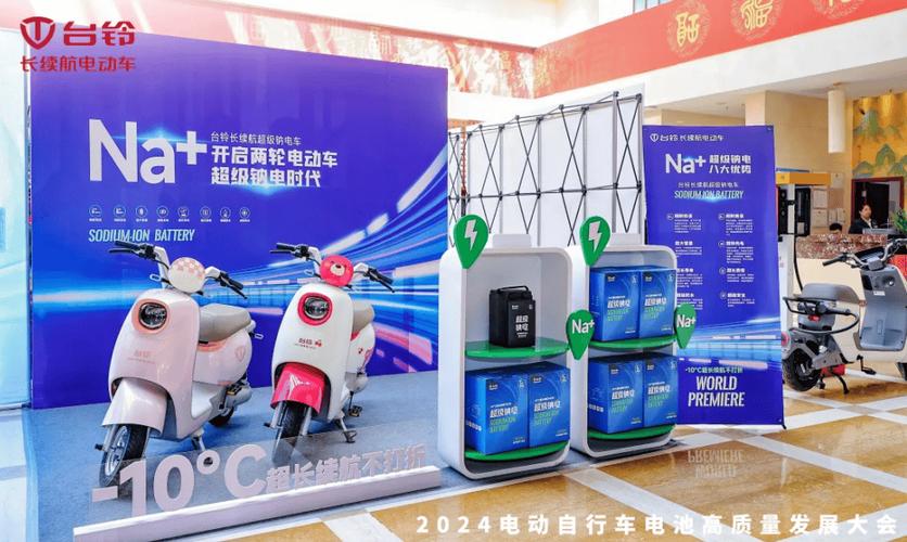 台铃电动车遥控器使用图标