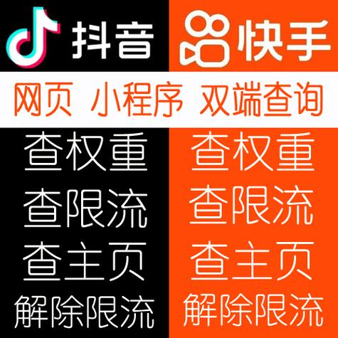 账号权重检测软件下载图标