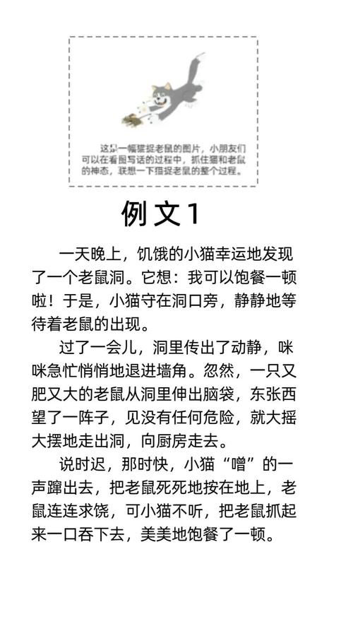 短文猫和老鼠的答案