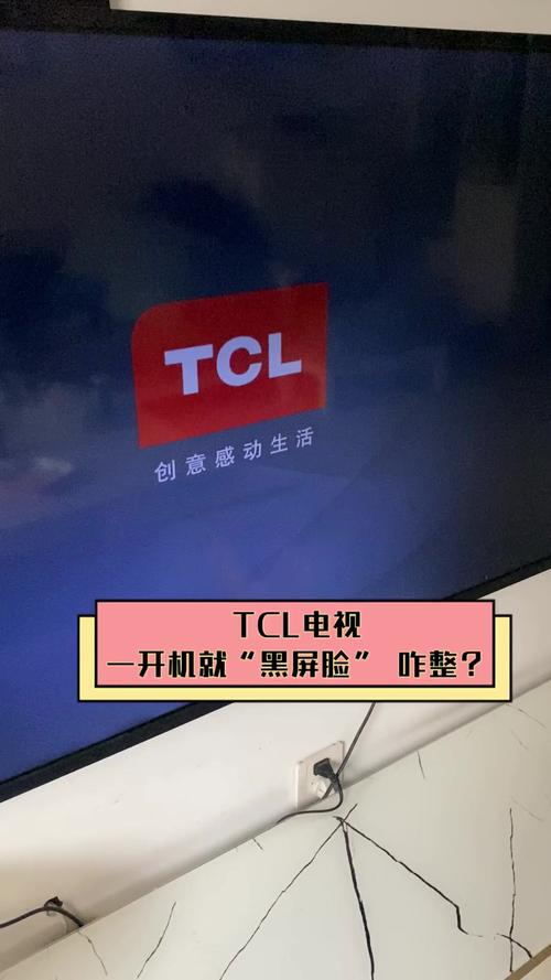 TCL电视打开黑屏截图