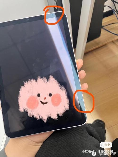 ipad屏幕中间有个圆圈图标
