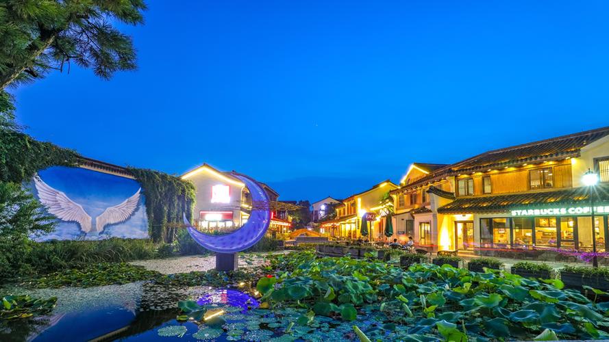 西塘最建议住的三个地方图标