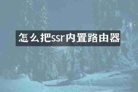openwrt路由器添加ssr图标