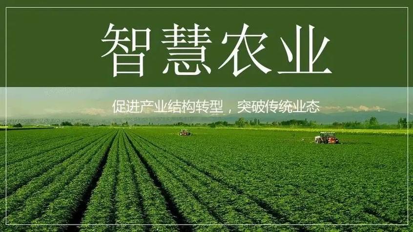 一米智慧是做什么的截图