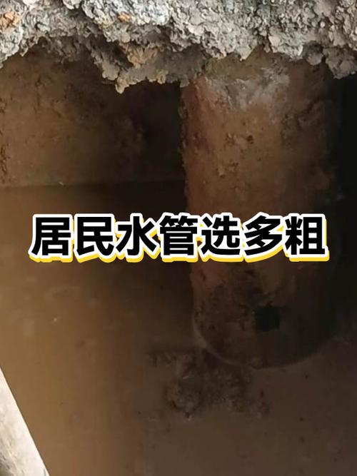 包资源管理器和项目资源管理器图标
