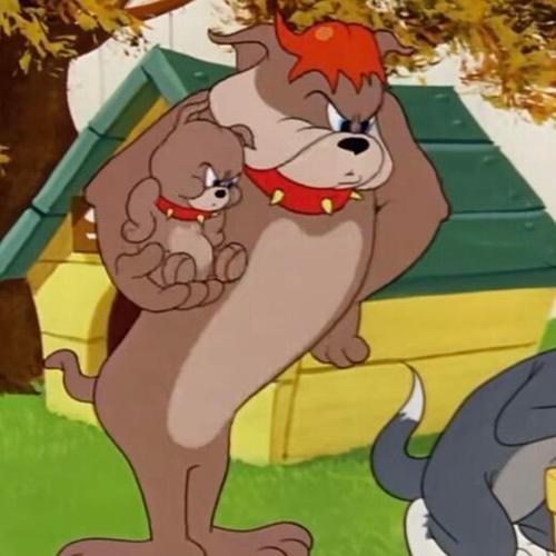 猫和老鼠与小狗