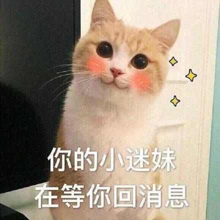 小迷妹图标