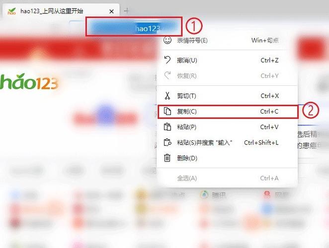 浏览器可以拉黑一个网址吗图标