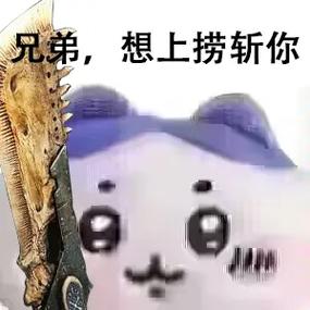 清理微信后表情包没了怎么办图标