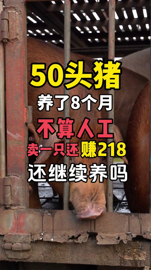 美子在农场养猪场杰克图标