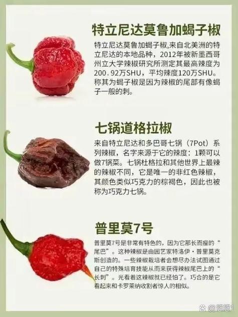 世界辣椒辣度排名图标