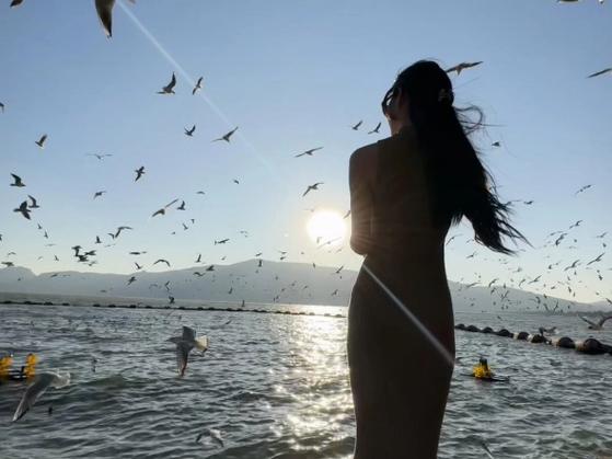 女生说海鸥是什么意思截图
