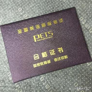 熊涵羽毛球是啥等级图标