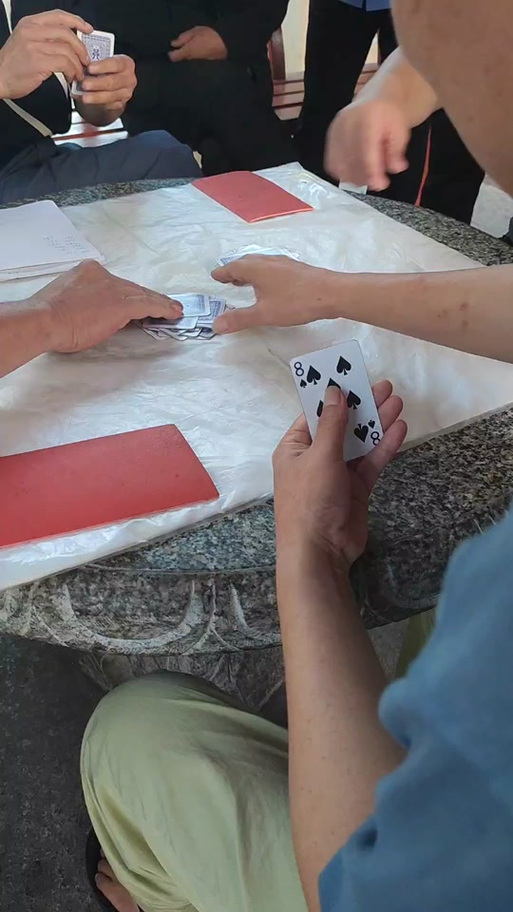 拱猪入门与技巧图标