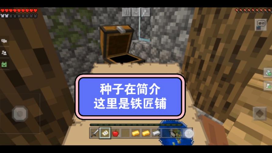 我的世界的好种子图标