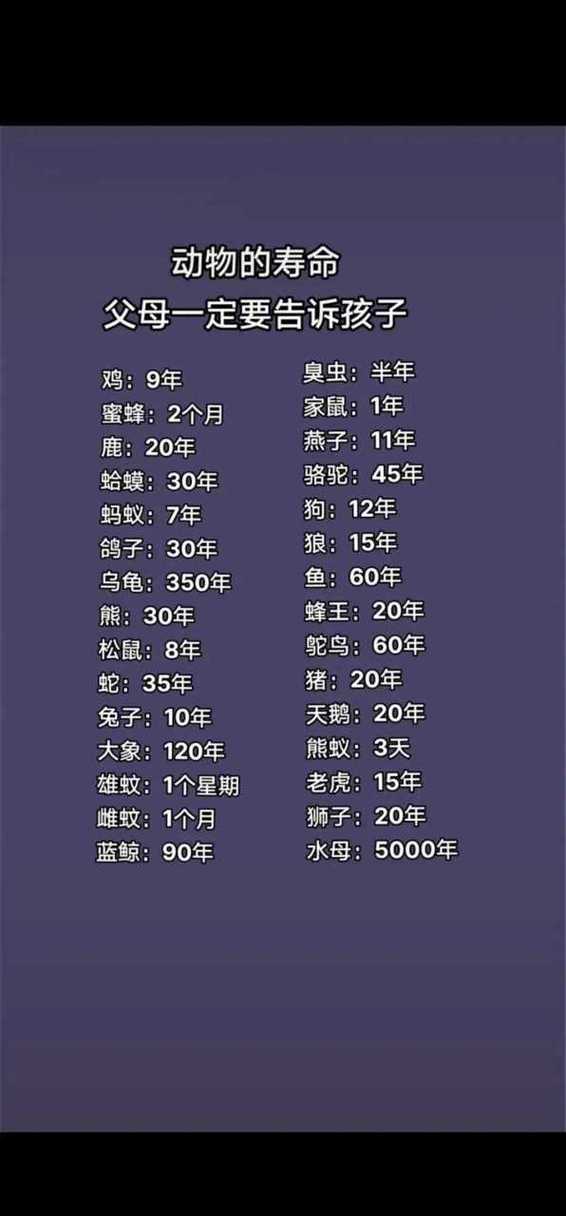 动物寿命排行图标