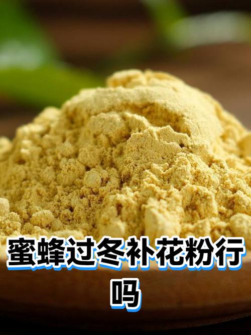 能量蜂截图