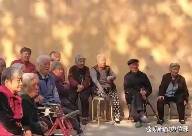中老年人聊天群图标