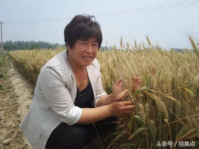 大麦多少钱一斤啊图标