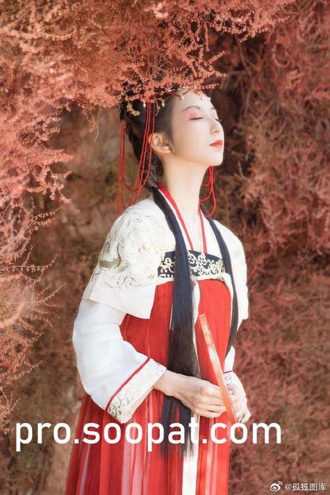 斗罗大陆之邪神传承小说柚子截图