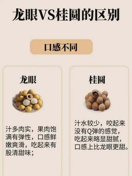 桂圆的小说图标