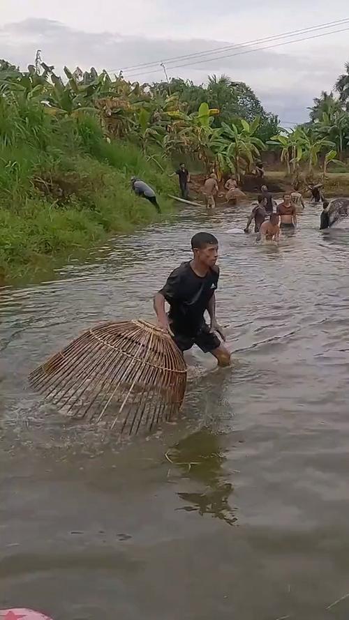 网鱼睡觉会赶人吗图标