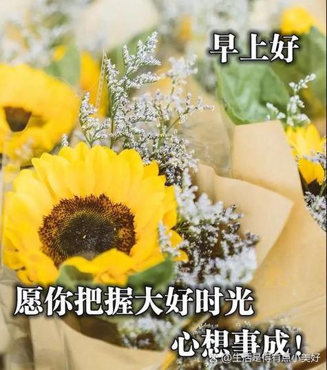 懂生活下一句是什么图标