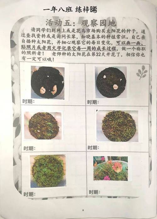 句芒星五足虫卵怎么收集截图
