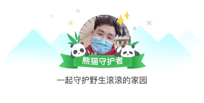 拨打电话手表老是关机图标