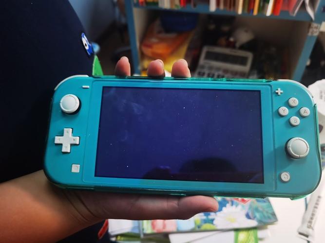 switch进一点水要紧么截图