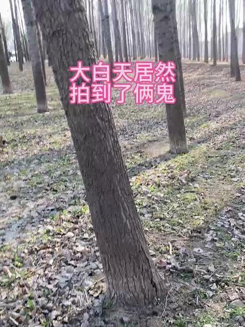 鬼进屋拍视频怎么拍